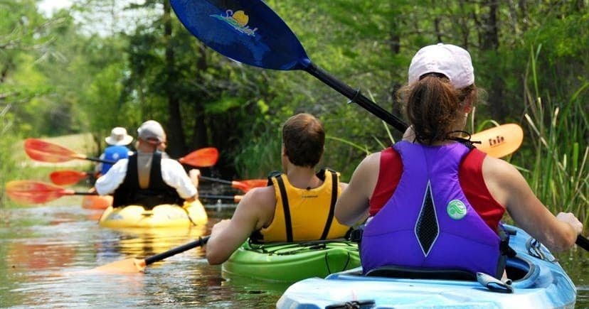 Top 15 Things To Do in Holmes Beach, Florida