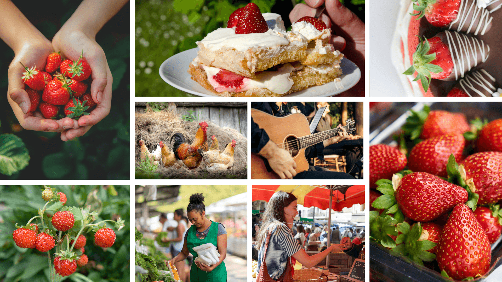 Sell at Wesley Wells Farm: 2026 Strawberry & Pumpkin Festival Vendor ...