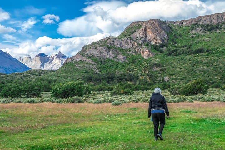Half-Day Valle Pingo Walk in Torres del Paine — Pingo River Valley Hike